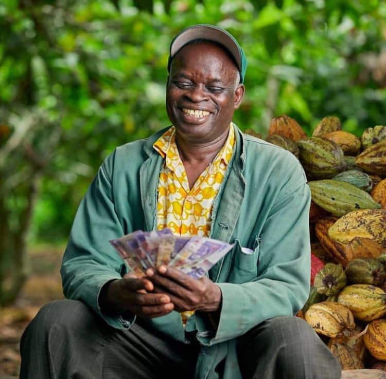 Ghana’s Farming Breakthrough: 5 Crops Turning Hard Work into Wealth ...